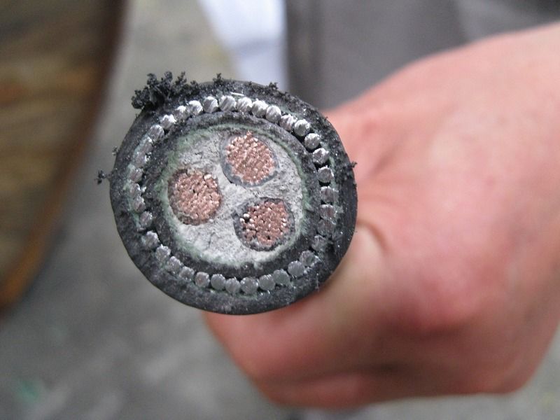 Unshielded / Shielded XLPE Insulated Electrical Power Cable Single ...