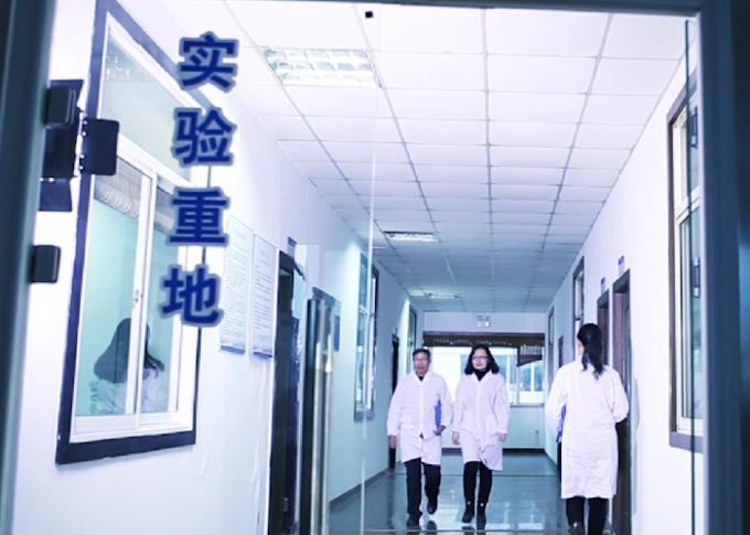 China Shanghai Shenghua Cable (Group) Co., Ltd. company profile