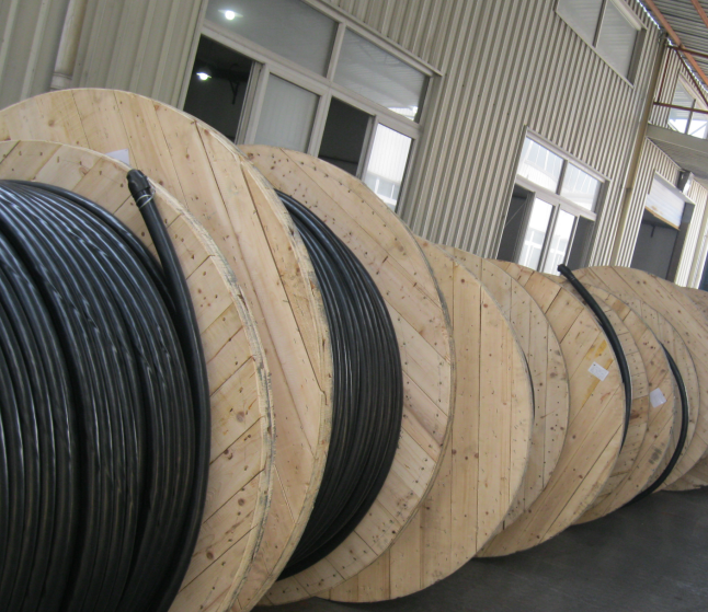 Three Phase core copper conductor unarmored 600/1000V 3x10mm2 XLPE ...