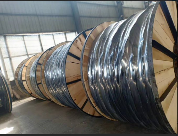 Paper Insulated Lead Sheathed Steel Wire Armoured Cable at Sam ...